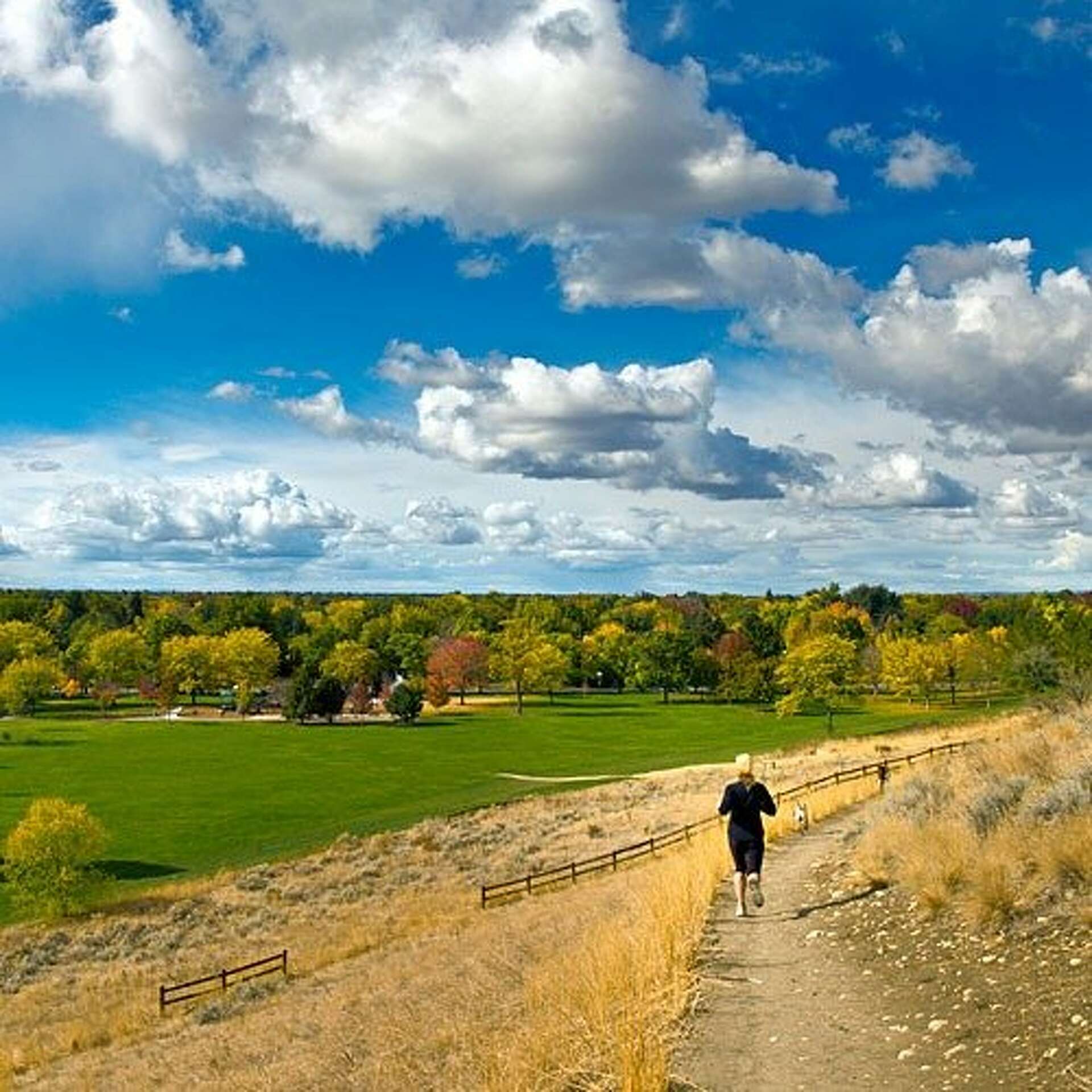 This summer's 12 cheapest flights