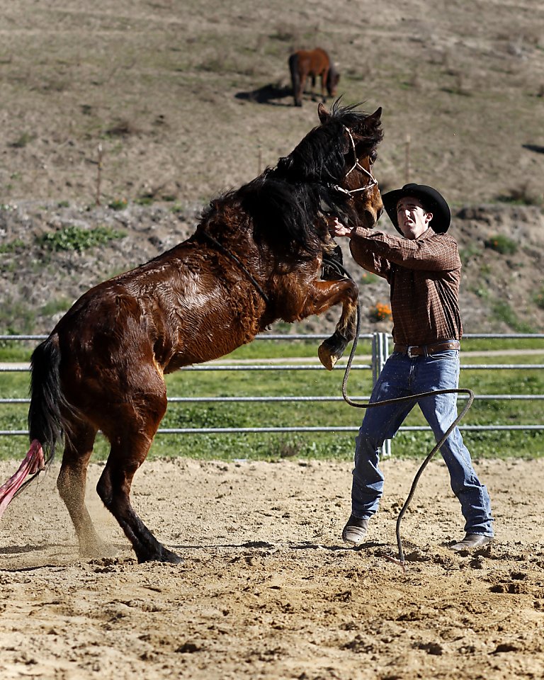 Wild mustang makeover - one bit at a time