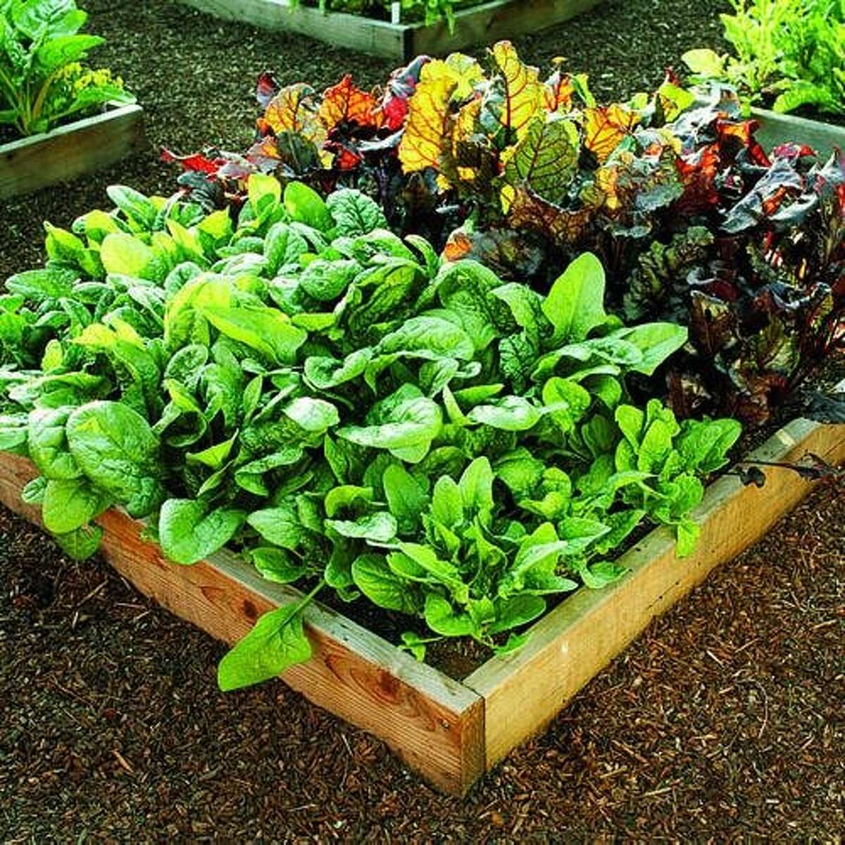 27 ways to savor spring