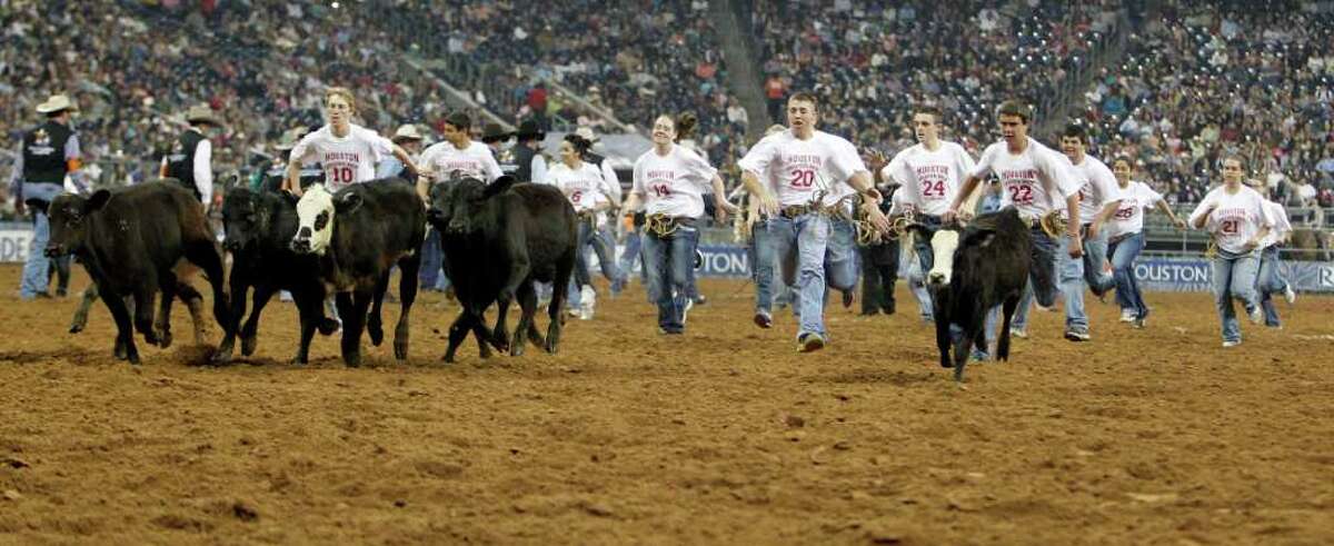 Scrambling to catch those elusive calves