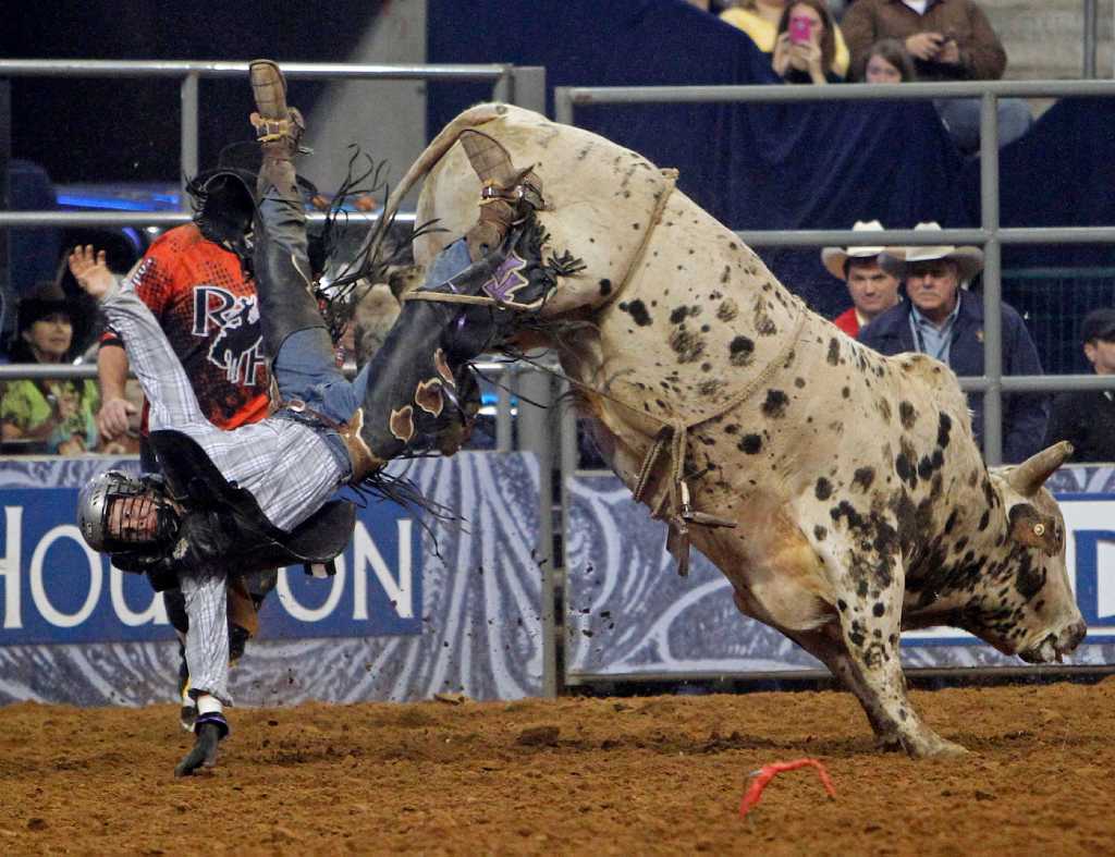 Aussie advances to saddle bronc finals