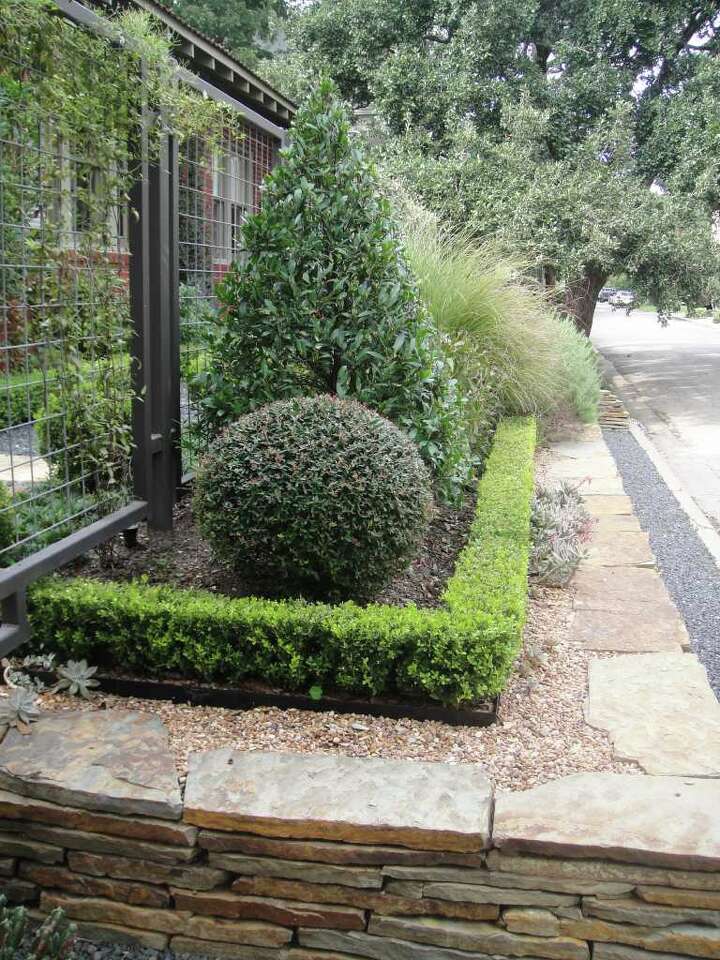 Garden gates open to visitors during Open Days tour