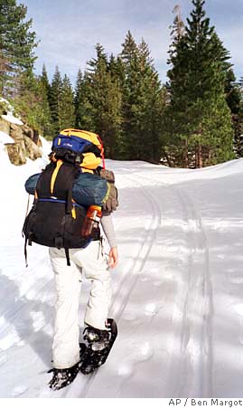 Walking -- and other outings -- in a winter wonderland
