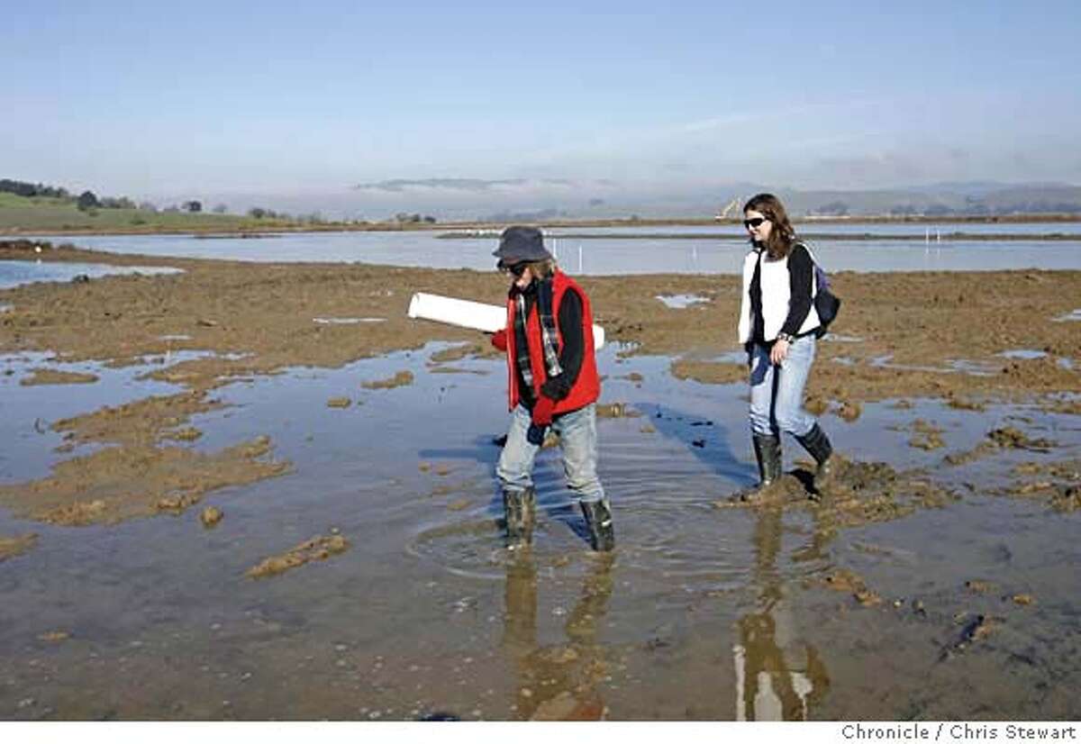 NOVATO / Marin has new tidal marsh / Local Audubon chapter bought the ...