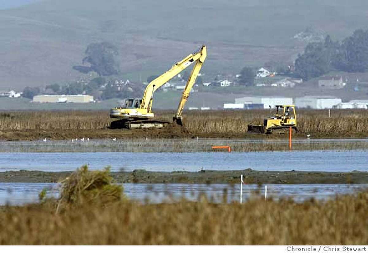 NOVATO / Marin has new tidal marsh / Local Audubon chapter bought the ...
