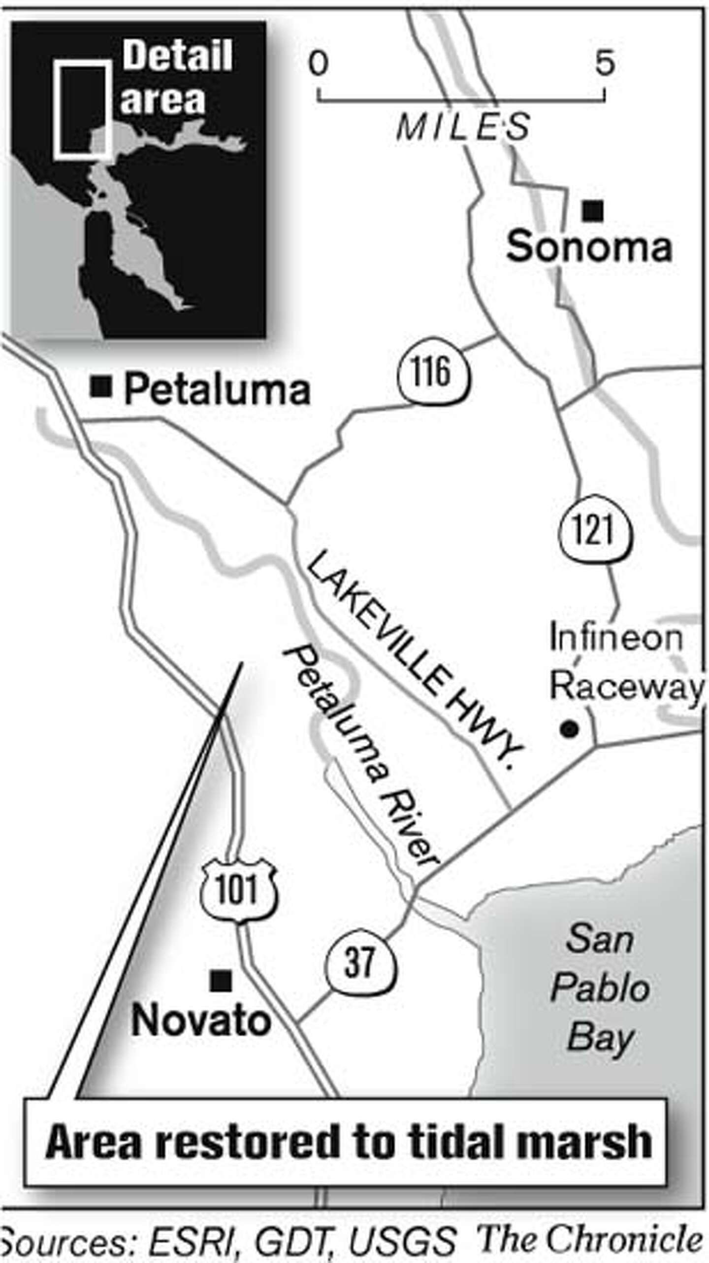 NOVATO / Marin has new tidal marsh / Local Audubon chapter bought the ...