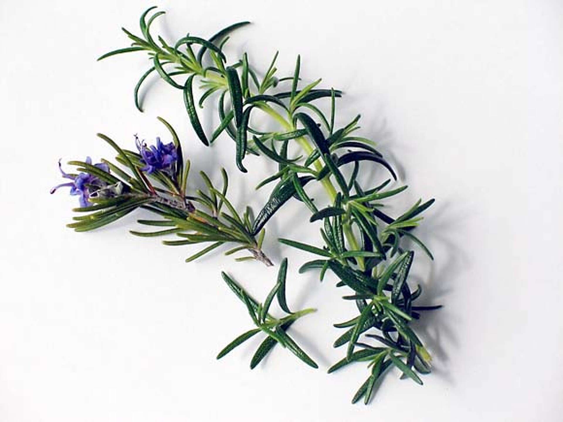 Study flowers in Ophelia's garland to learn folk beliefs, Shakespeare