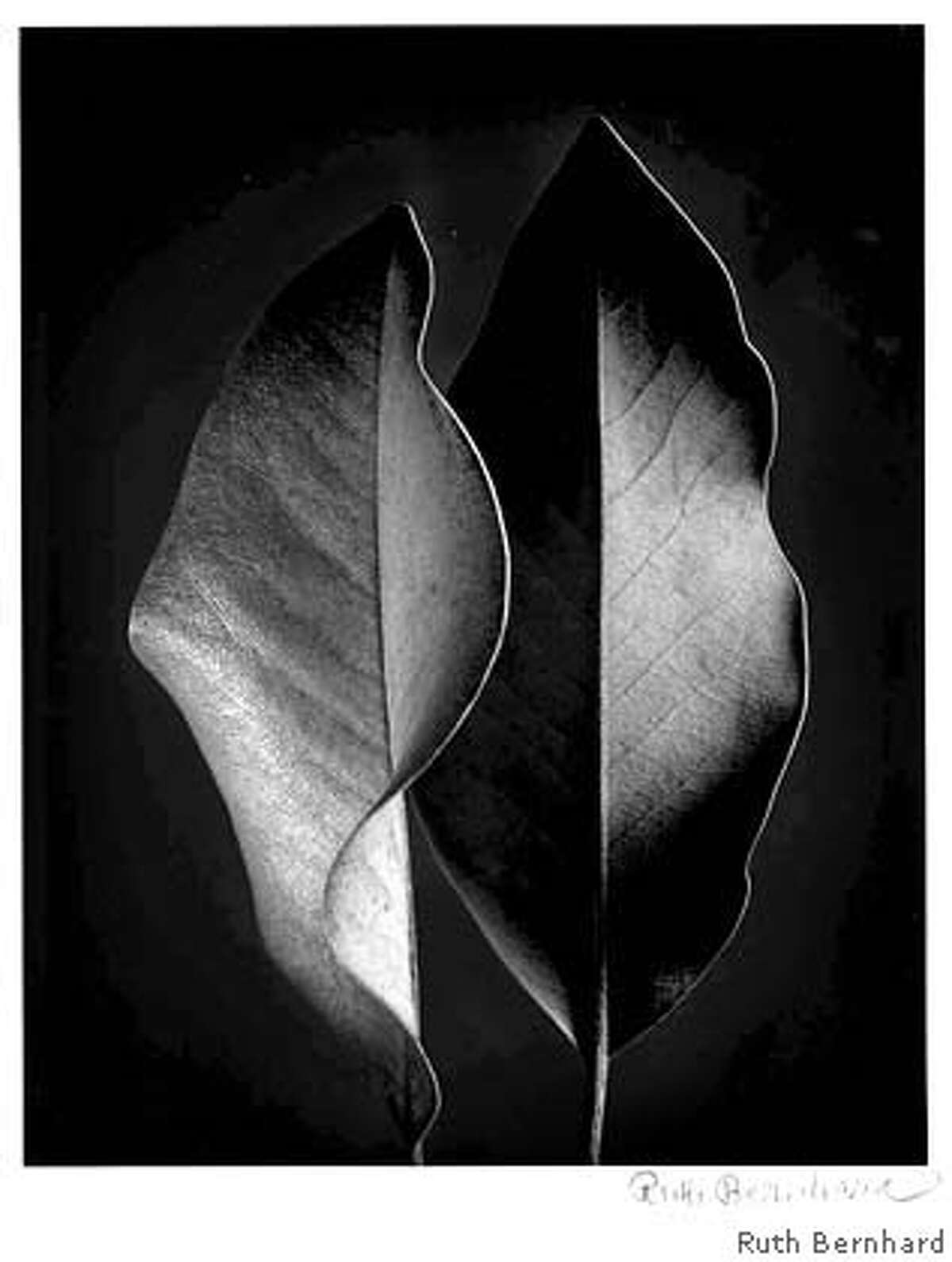 APPRECIATION / Over long career, Bernhard helped make photography into ...