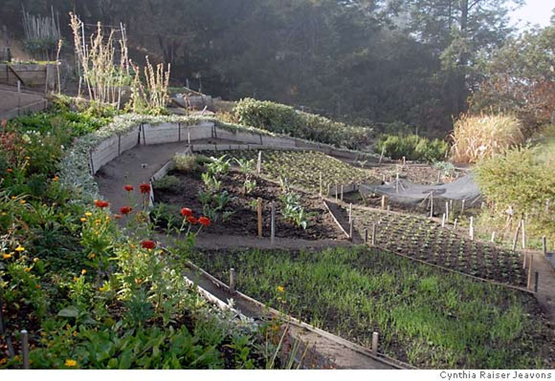 Use terraces to create a level planting field / Farmer and author John ...