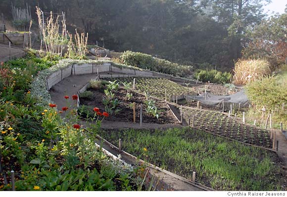 Use terraces to create a level planting field / Farmer and author John ...