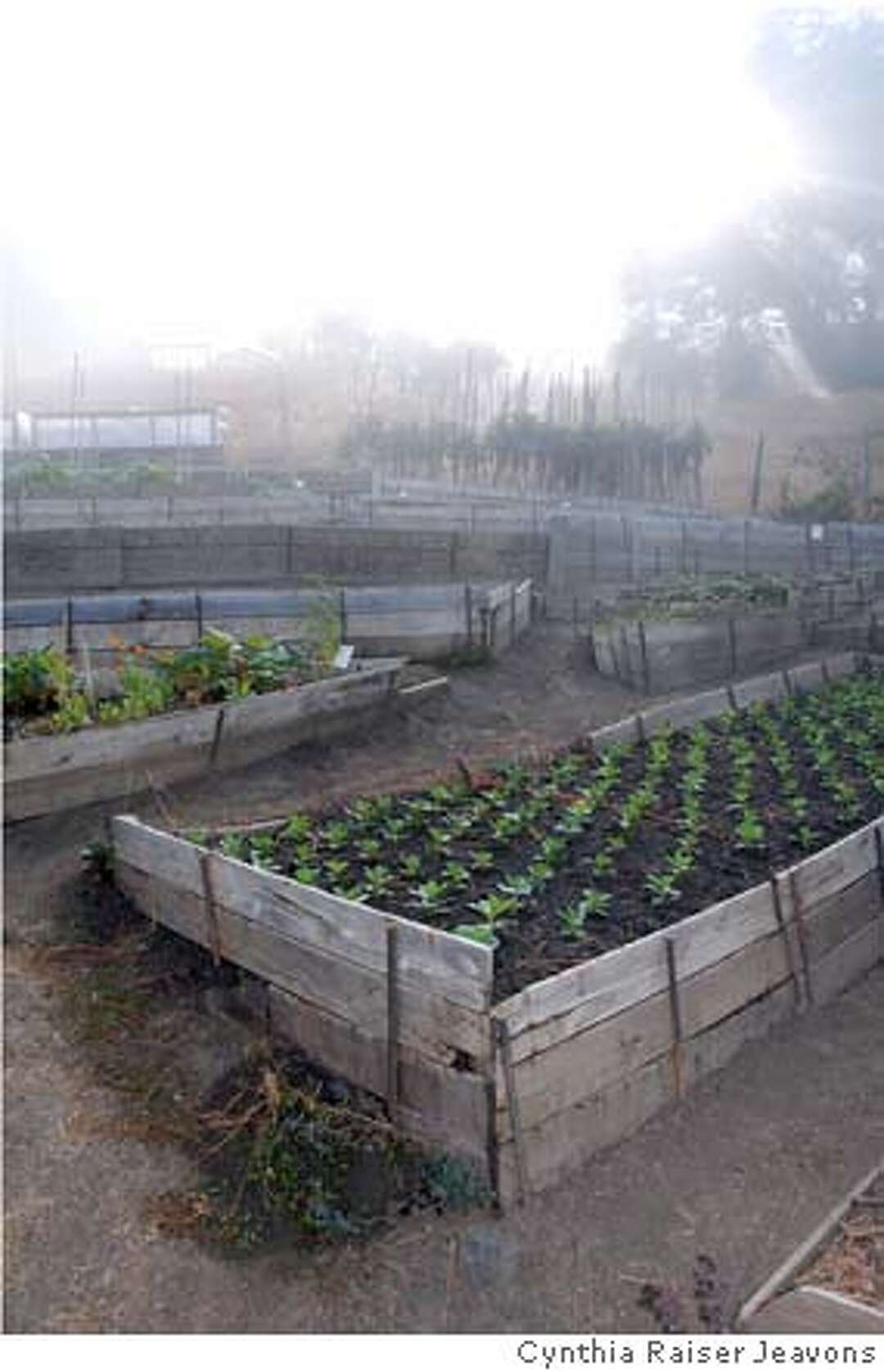 Use terraces to create a level planting field / Farmer and author John ...