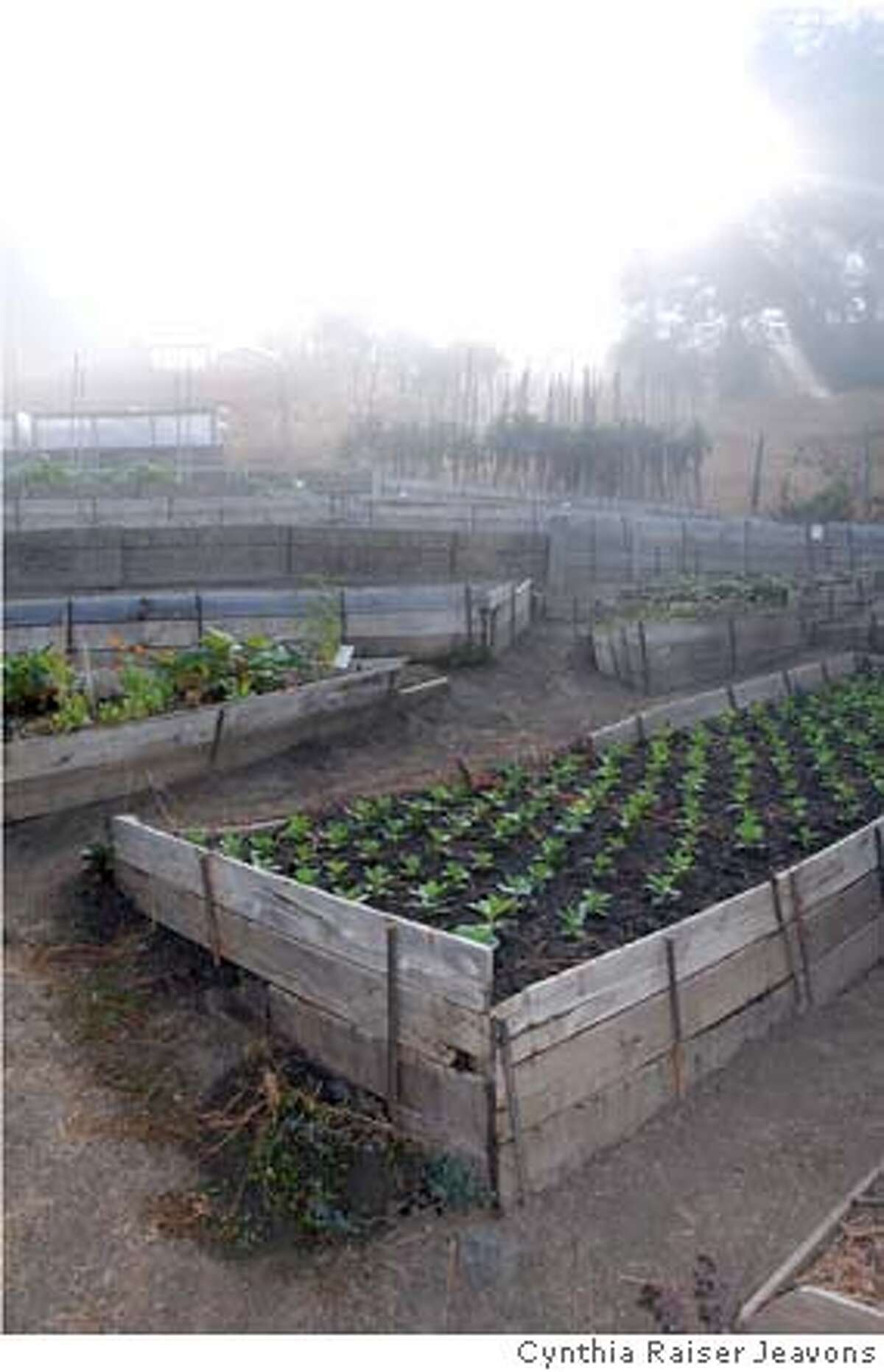 Use terraces to create a level planting field / Farmer and author John ...