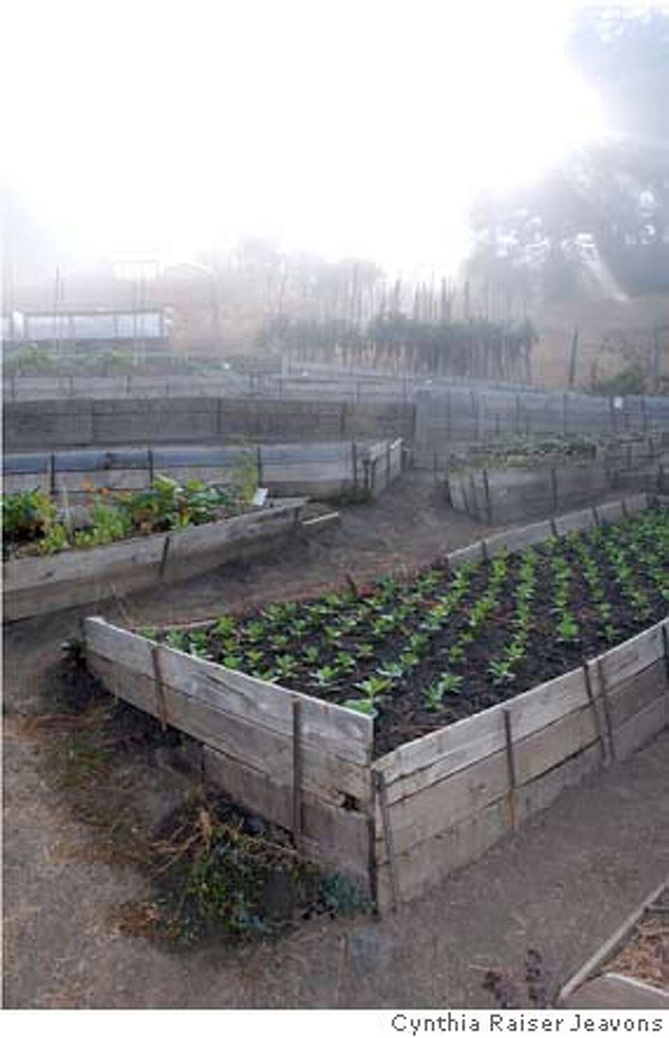 Use terraces to create a level planting field / Farmer and author John ...