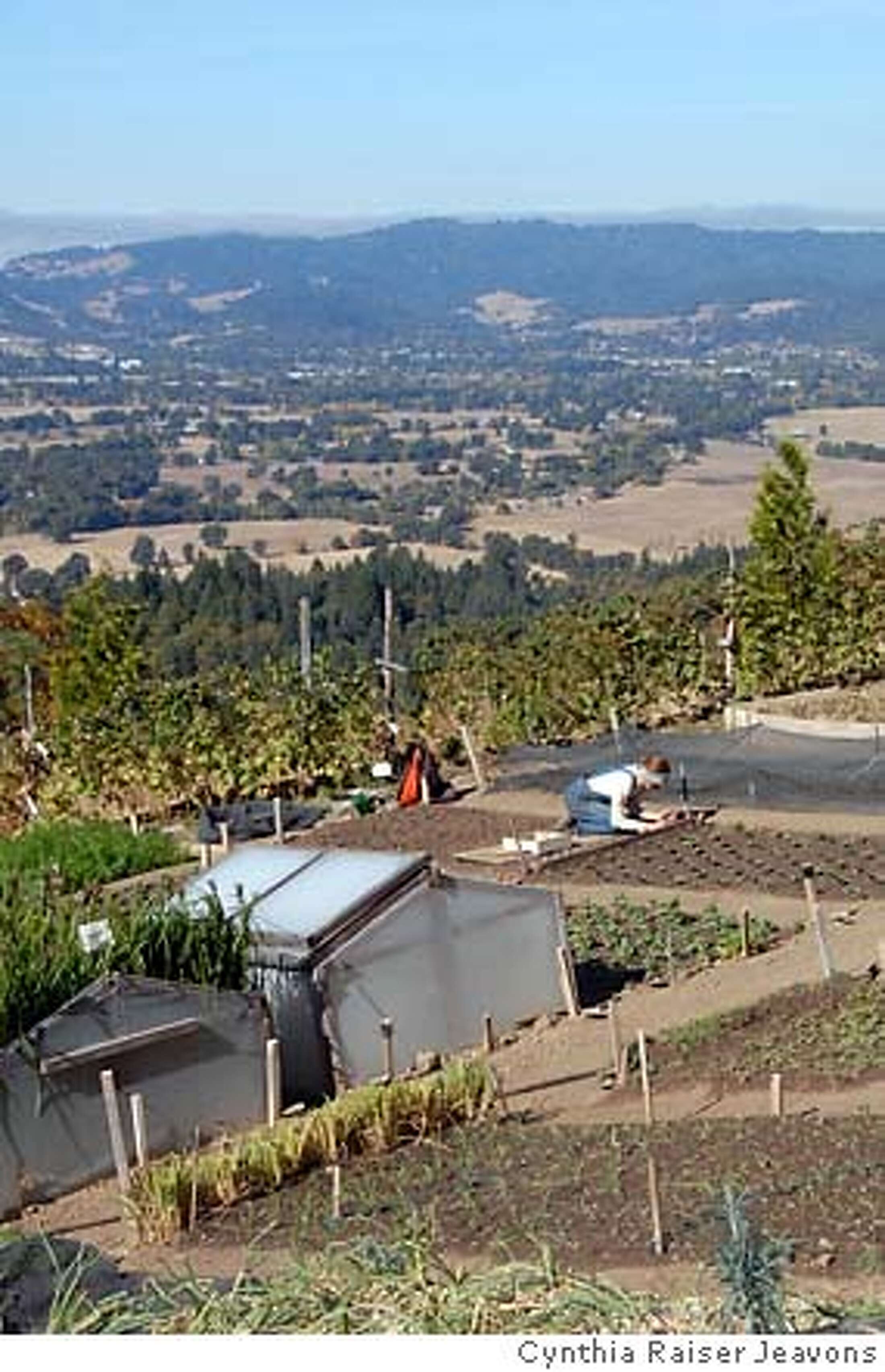 Use terraces to create a level planting field / Farmer and author John ...