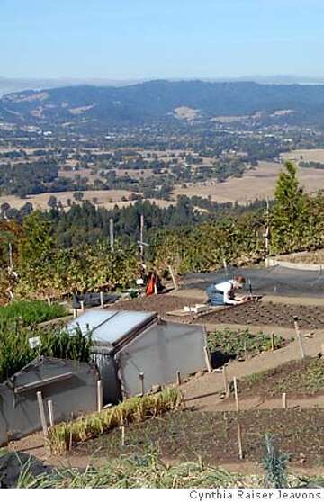 Use terraces to create a level planting field / Farmer and author John ...