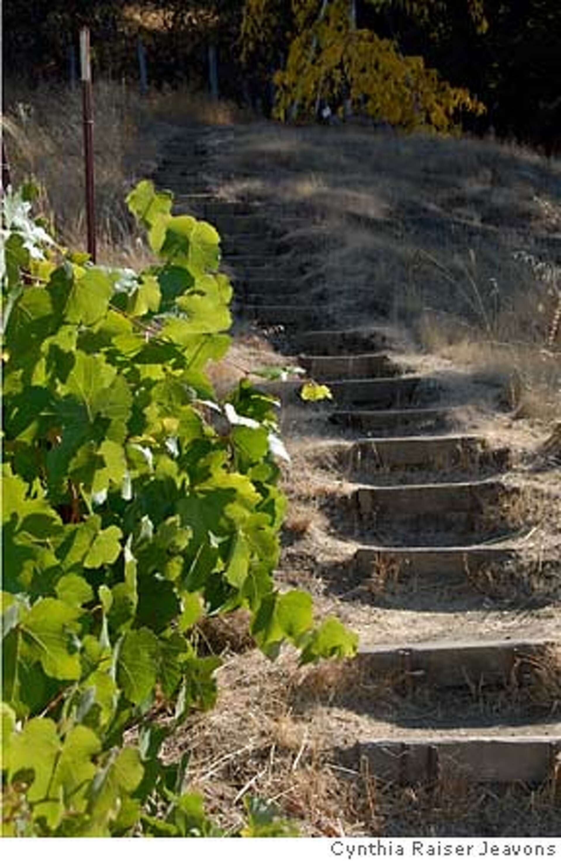 Use terraces to create a level planting field / Farmer and author John ...