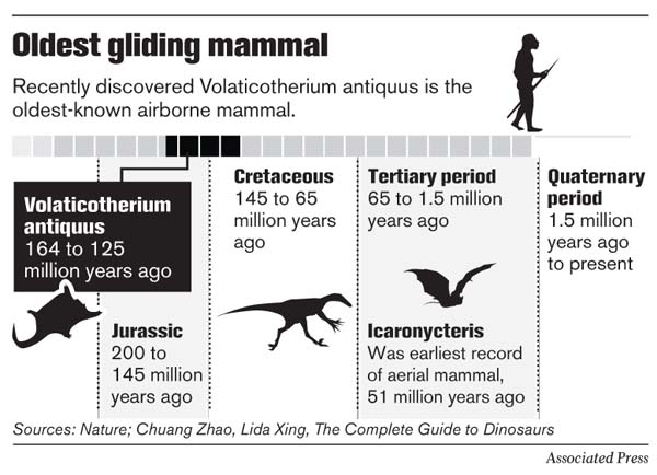 Ancient creature apparently could fly 125 million years ago / Fossil ...