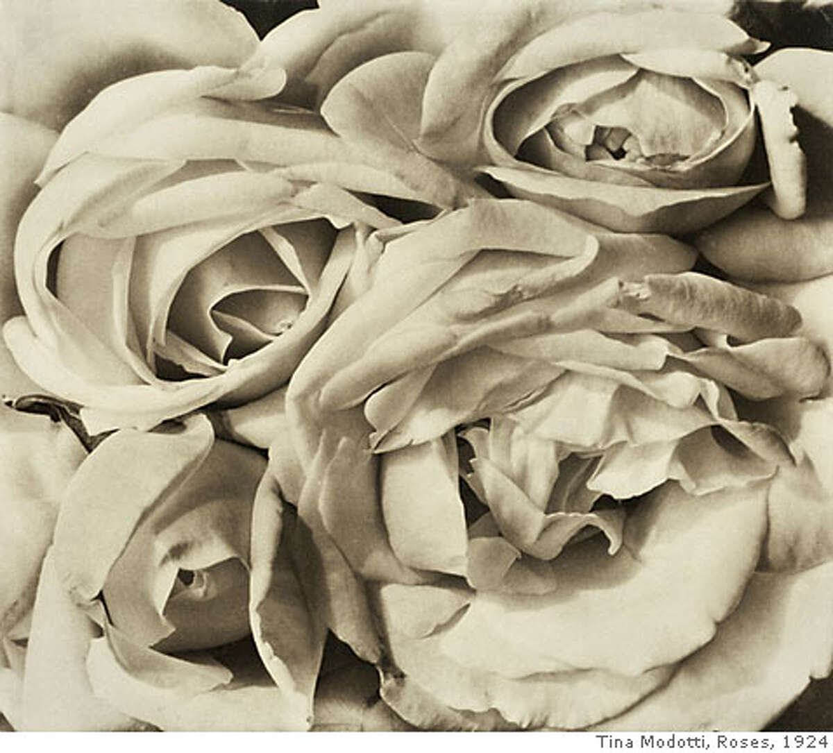 VACATION AS ART / Family Studio / How was staying at Granny's? SFMOMA ...