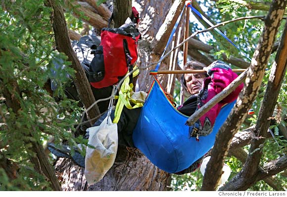 BERKELEY / The view is good -- and their cause is lofty / Save the Oaks ...