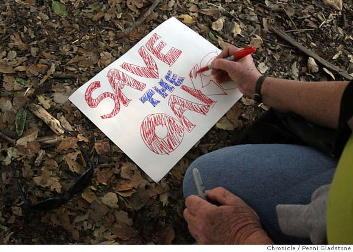 BERKELEY / Tree-sitters act to save oaks at stadium site