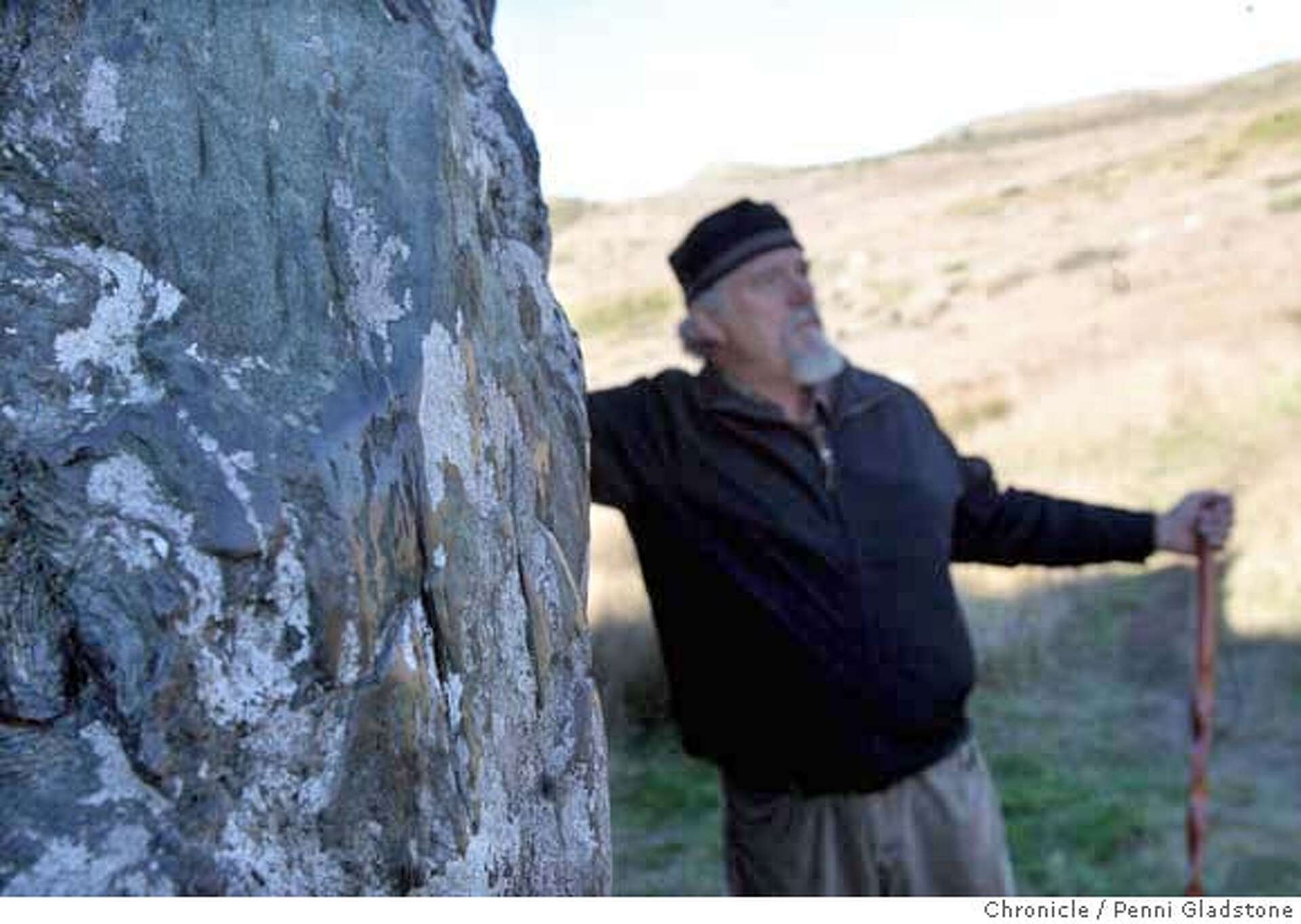 Ice Age clues near Bodega / Scientist thinks mammoths rubbed coast ...