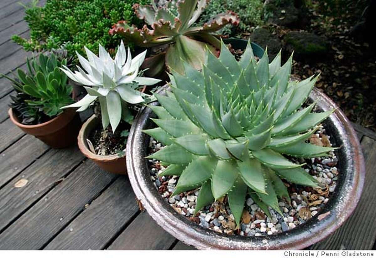 Painting an abstract landscape / One of the inventors of modernist ...