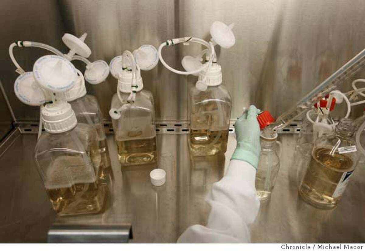 VACCINE LABS TAKE WING / Drug companies retool to fight bird flu threat