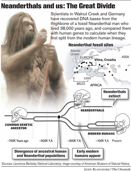Neanderthal's fossil yields bits of elusive DNA