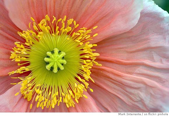 FLICKR PICKR / Inspired images