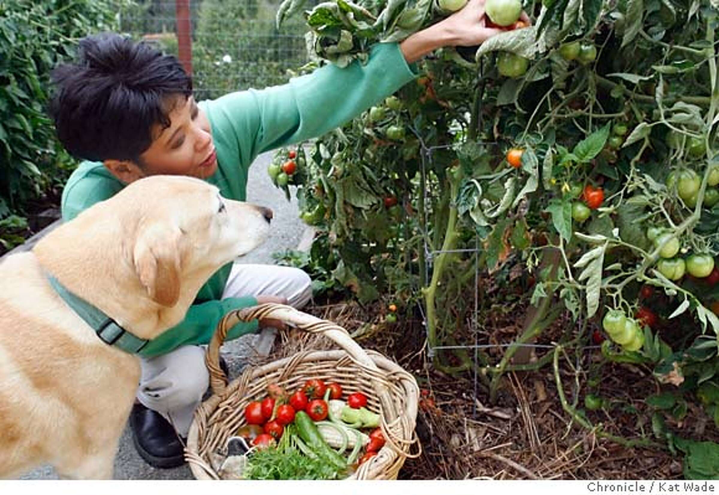 Bay Area broadcast legend Wendy Tokuda retiring after final segment