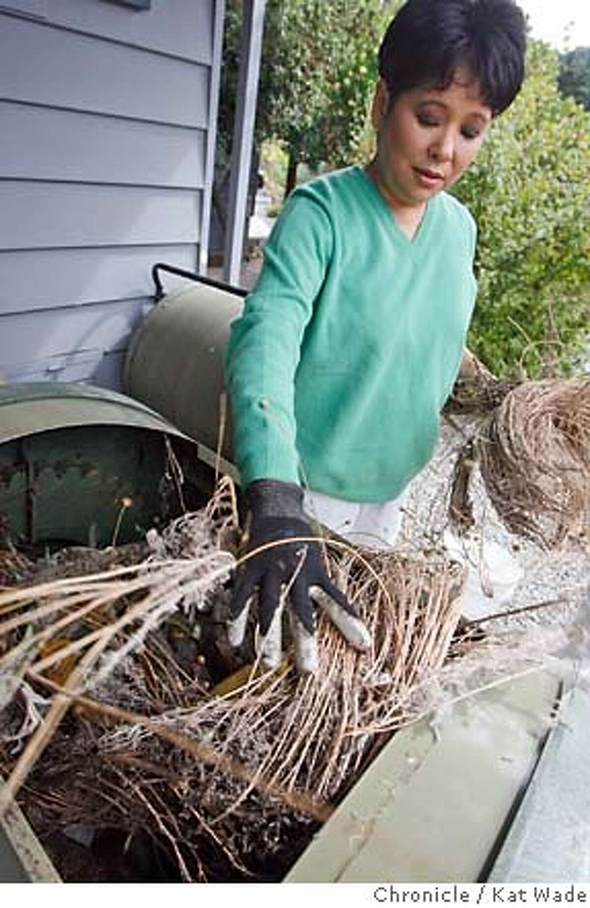 At home with Wendy Tokuda / TV newscaster may just be the ultimate ...