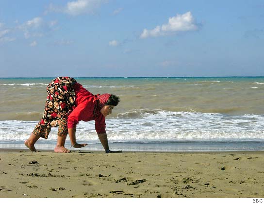 Devolution vs. evolution -- and that includes Couric