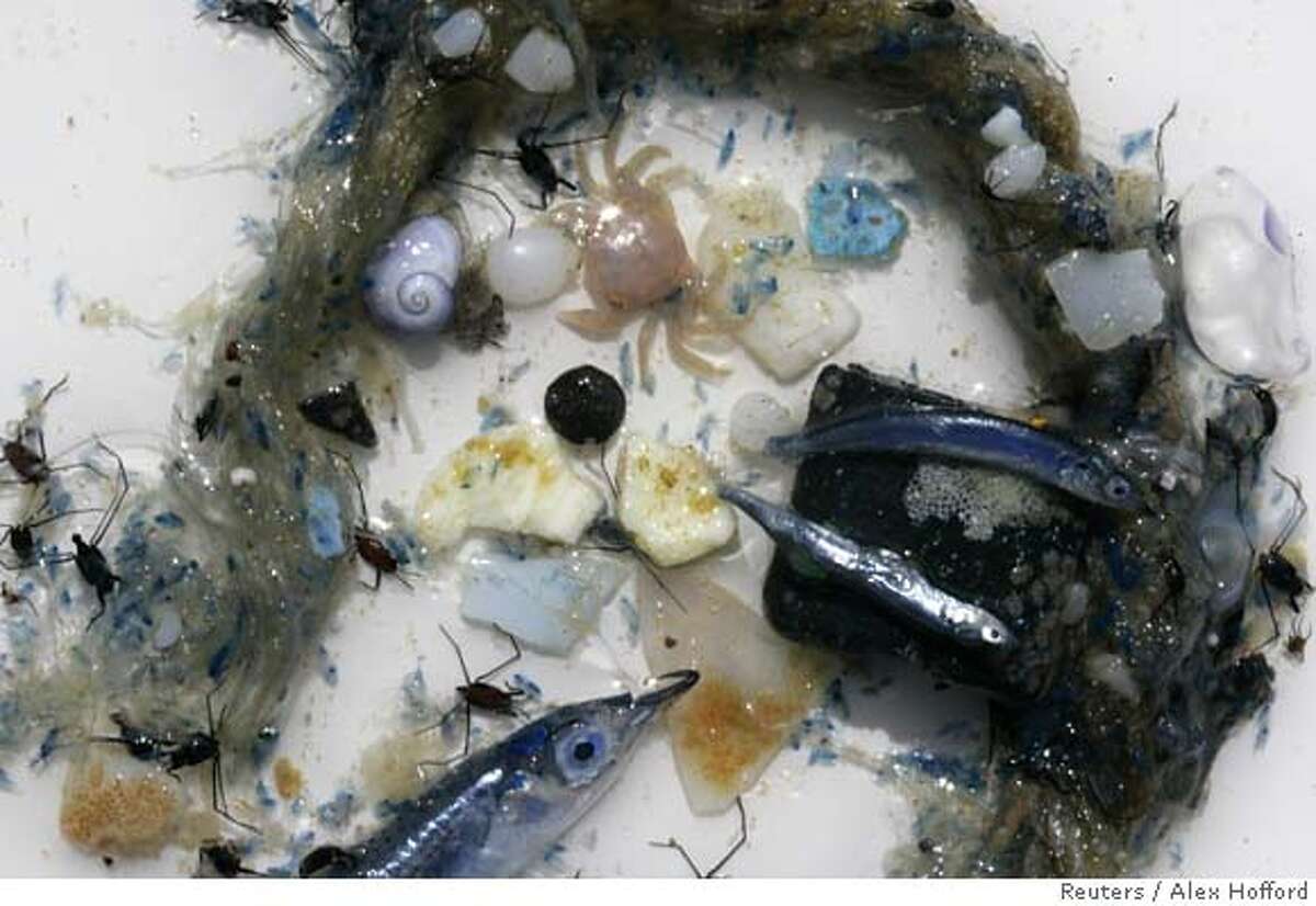 The plastic garbage pit of the Pacific / Trash particles, looking like ...