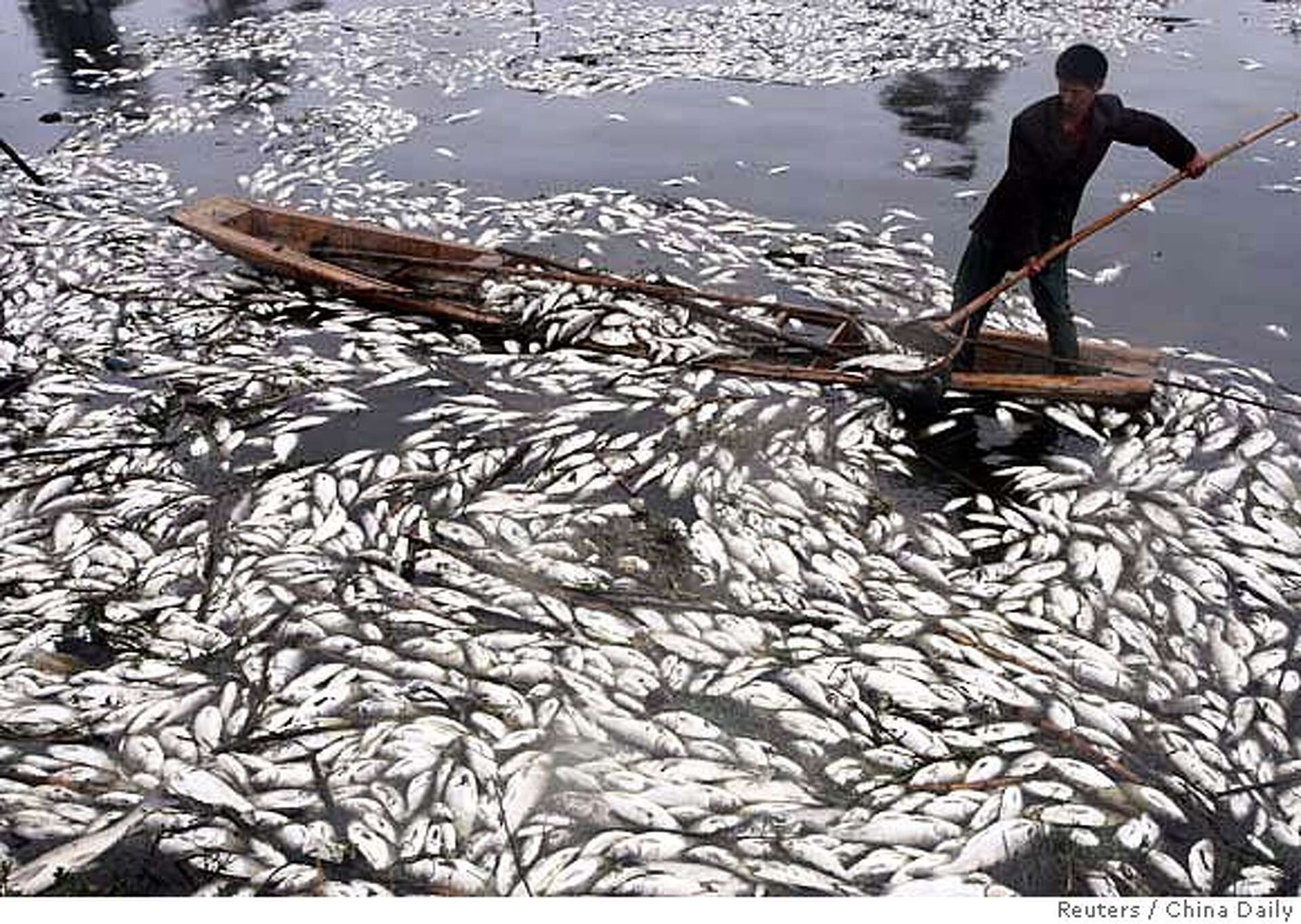 Overfishing, pollution threaten world's oceans