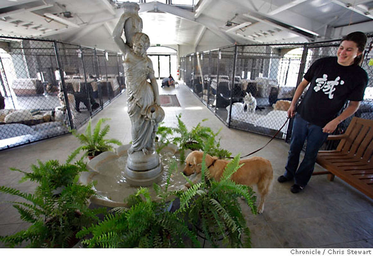 Dog Heaven / When did our four-legged friends' vacation amenities begin ...