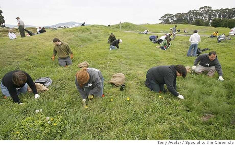 NATIONAL PUBLIC LANDS DAY / Thousands help clean up parks / Bay Area ...