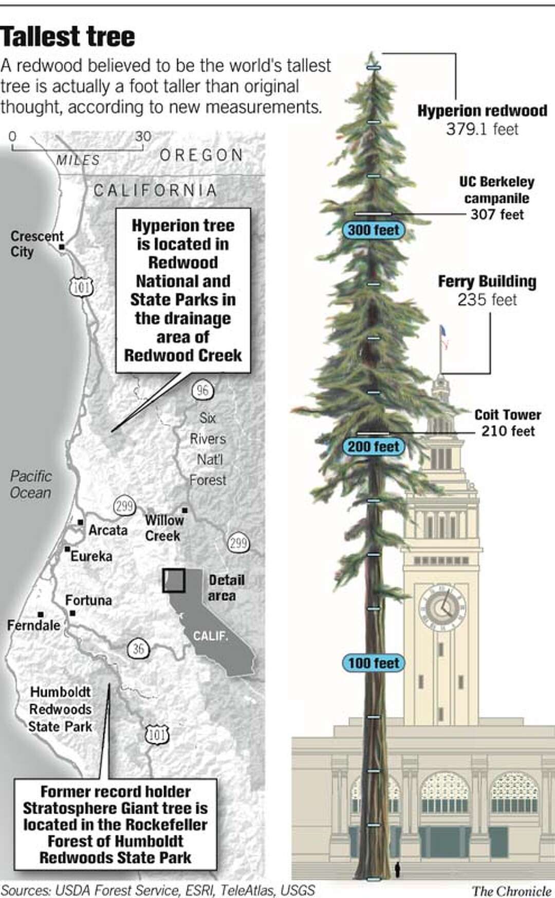 HUMBOLDT COUNTY / World's tallest tree, a redwood, confirmed
