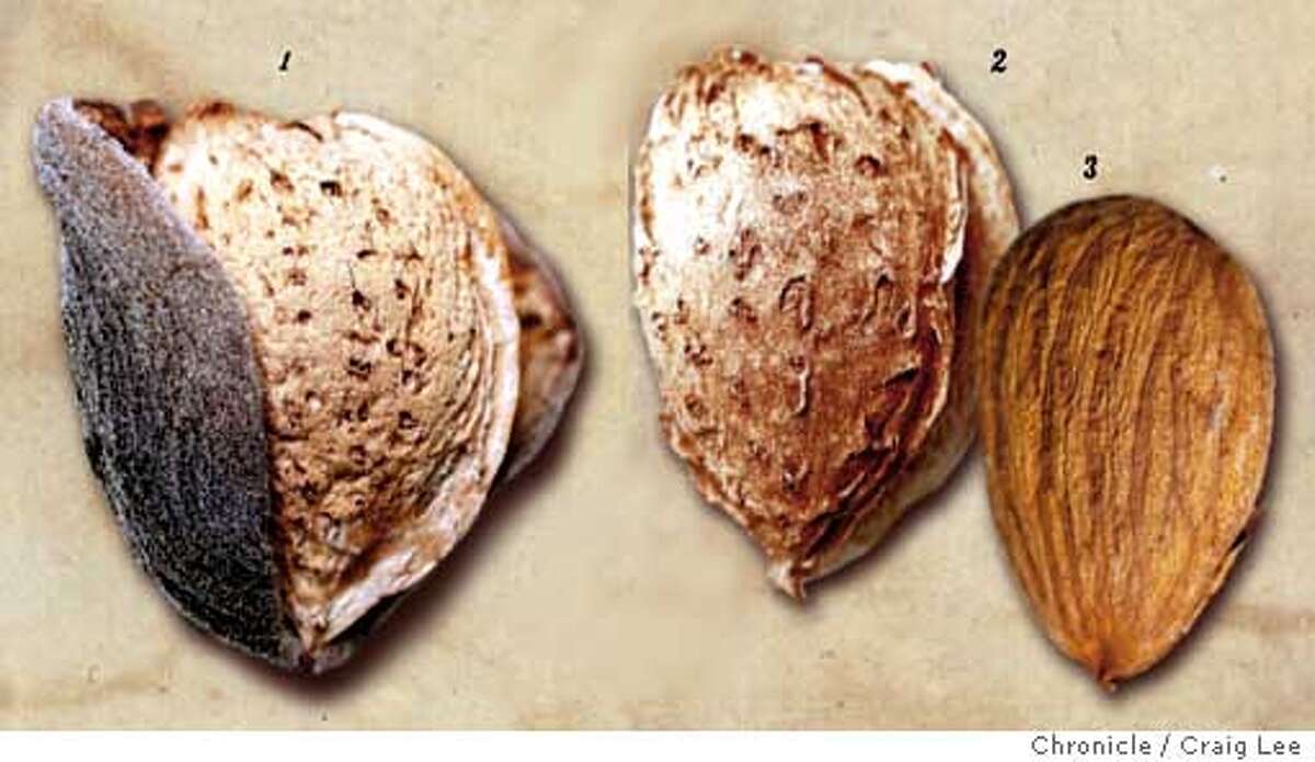 ALMONDS / Enjoying almonds at their peak is one of the best things ...