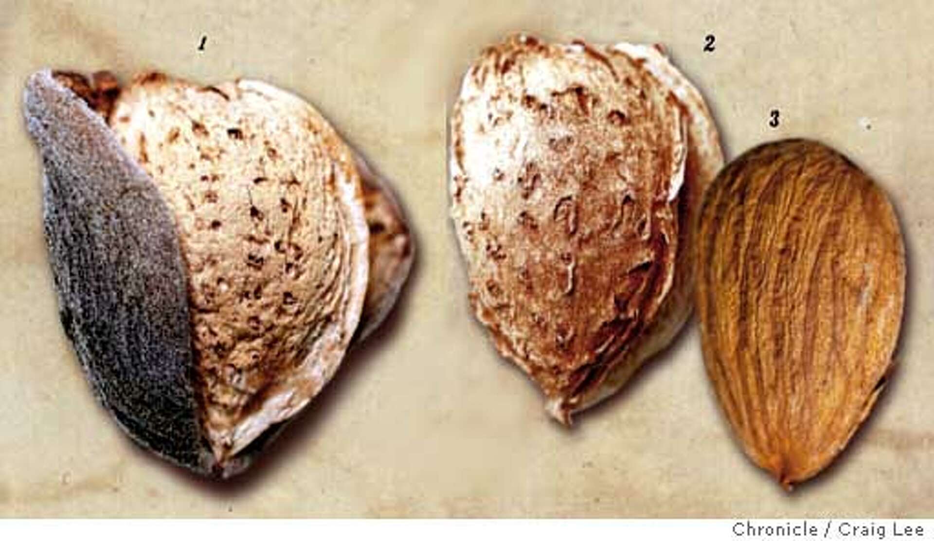 ALMONDS / Enjoying almonds at their peak is one of the best things ...