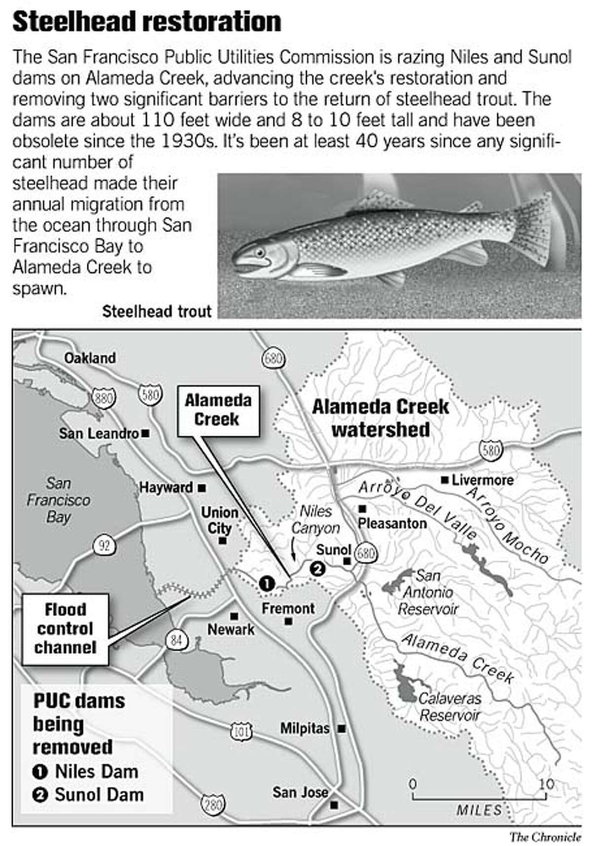 ALAMEDA CREEK / 2 dams come down so steelhead can go up