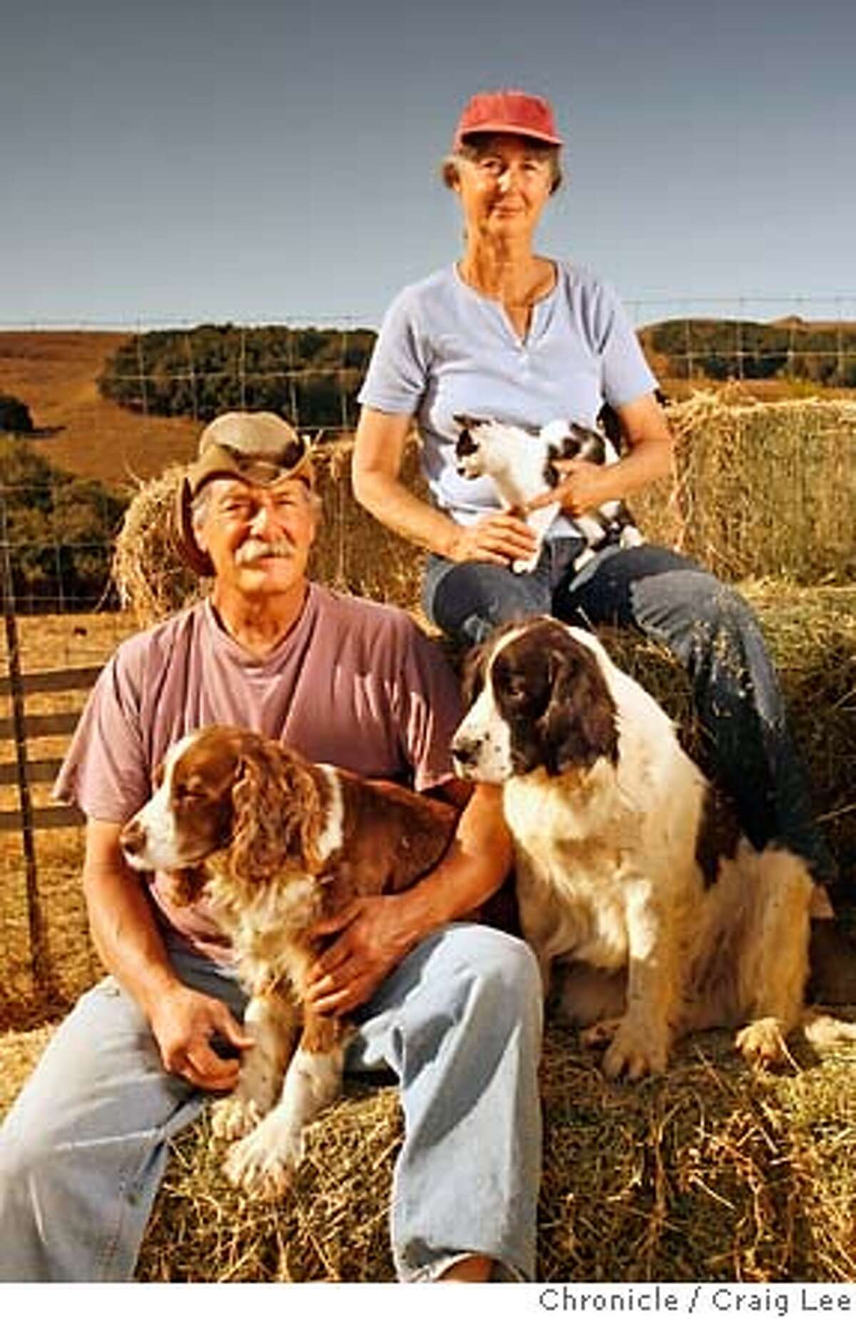 BACK TO THE RANCH / Consumers are going to the source for pastured beef ...