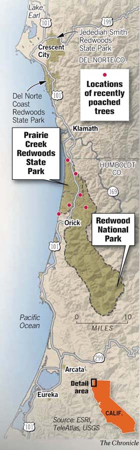 TIMBER POACHERS / Fighting back: Park managers are cracking down on ...