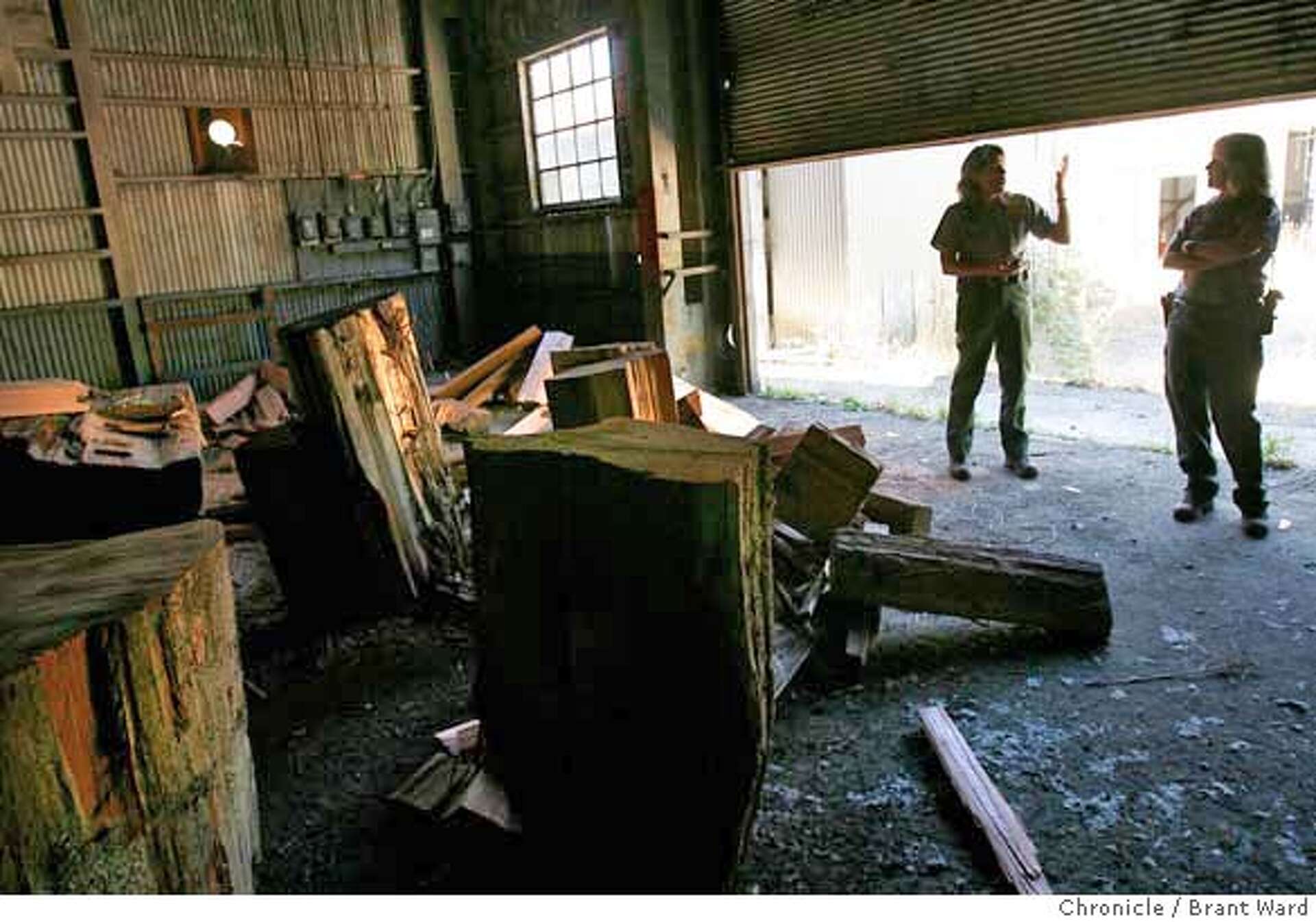 TIMBER POACHERS / Fighting back: Park managers are cracking down on ...