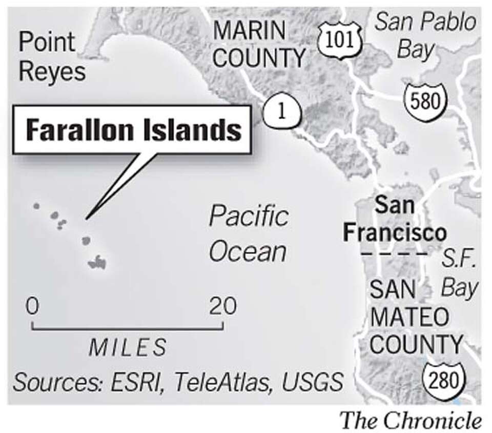 Rare fur seals reclaim place on Farallon Islands / Animals fled 1834 ...