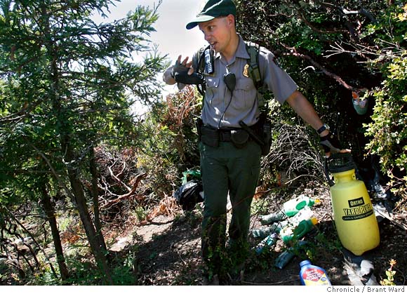 Pot farms ravaging park land / Big raid in Marin County hints at the ...