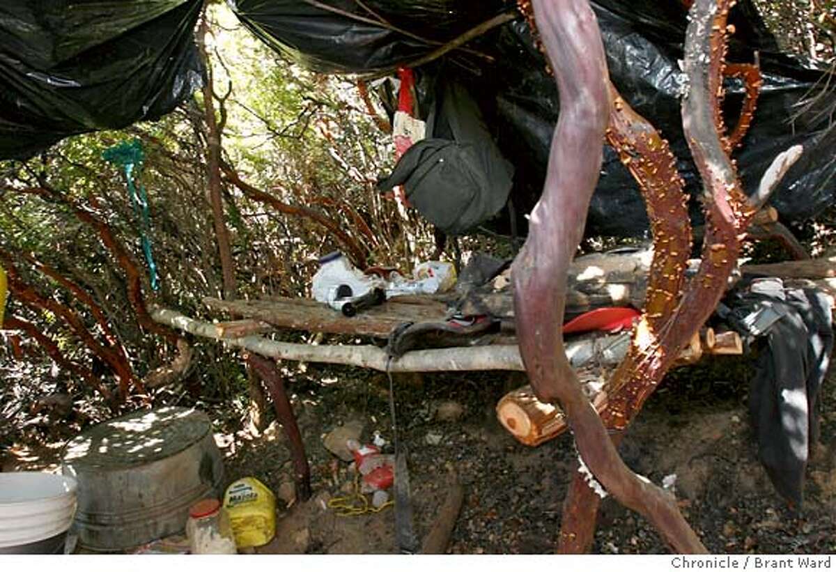 Pot farms ravaging park land / Big raid in Marin County hints at the ...