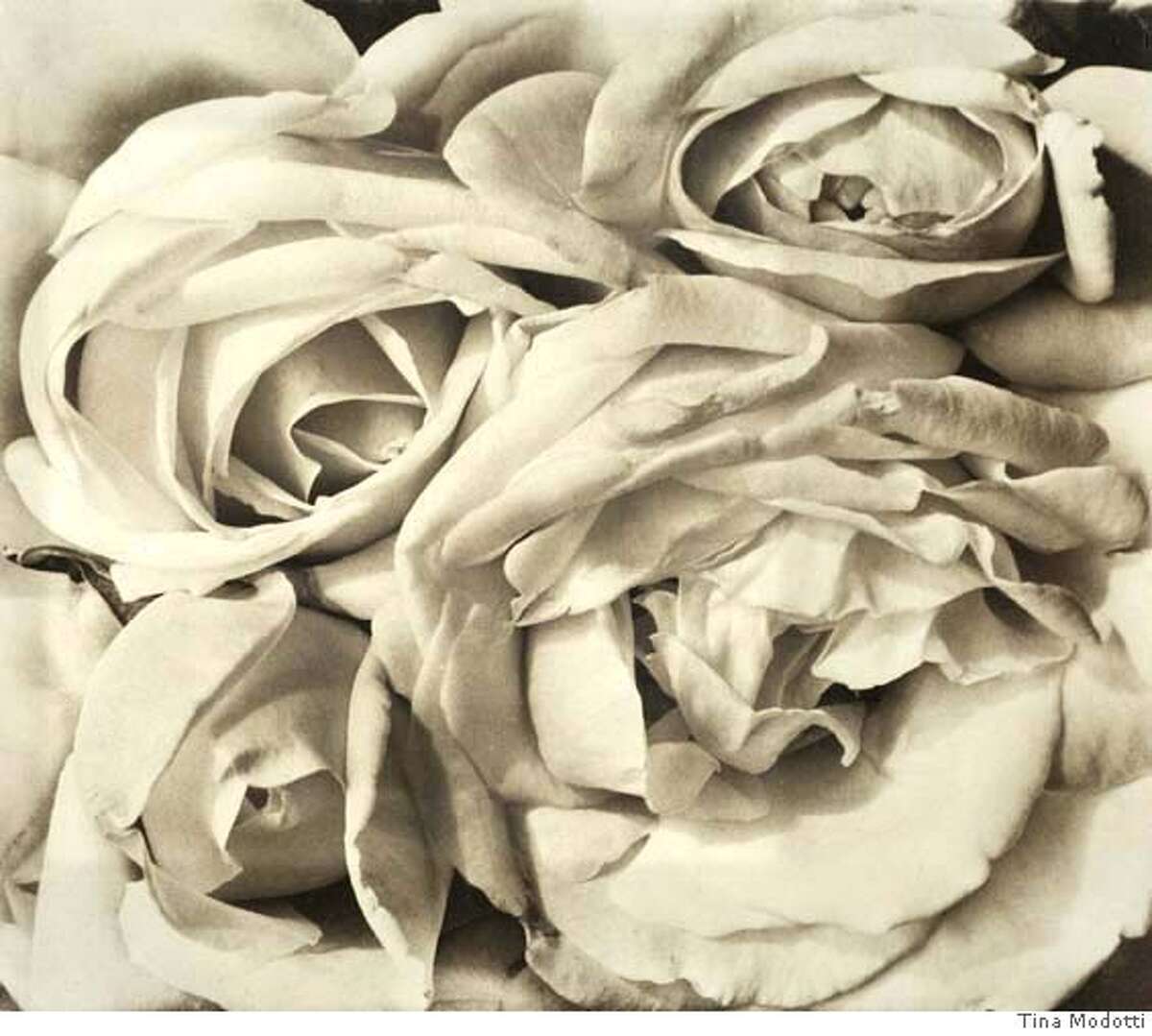 REVIEW / Southern exposure -- SFMOMA show captures Mexico in differing ...