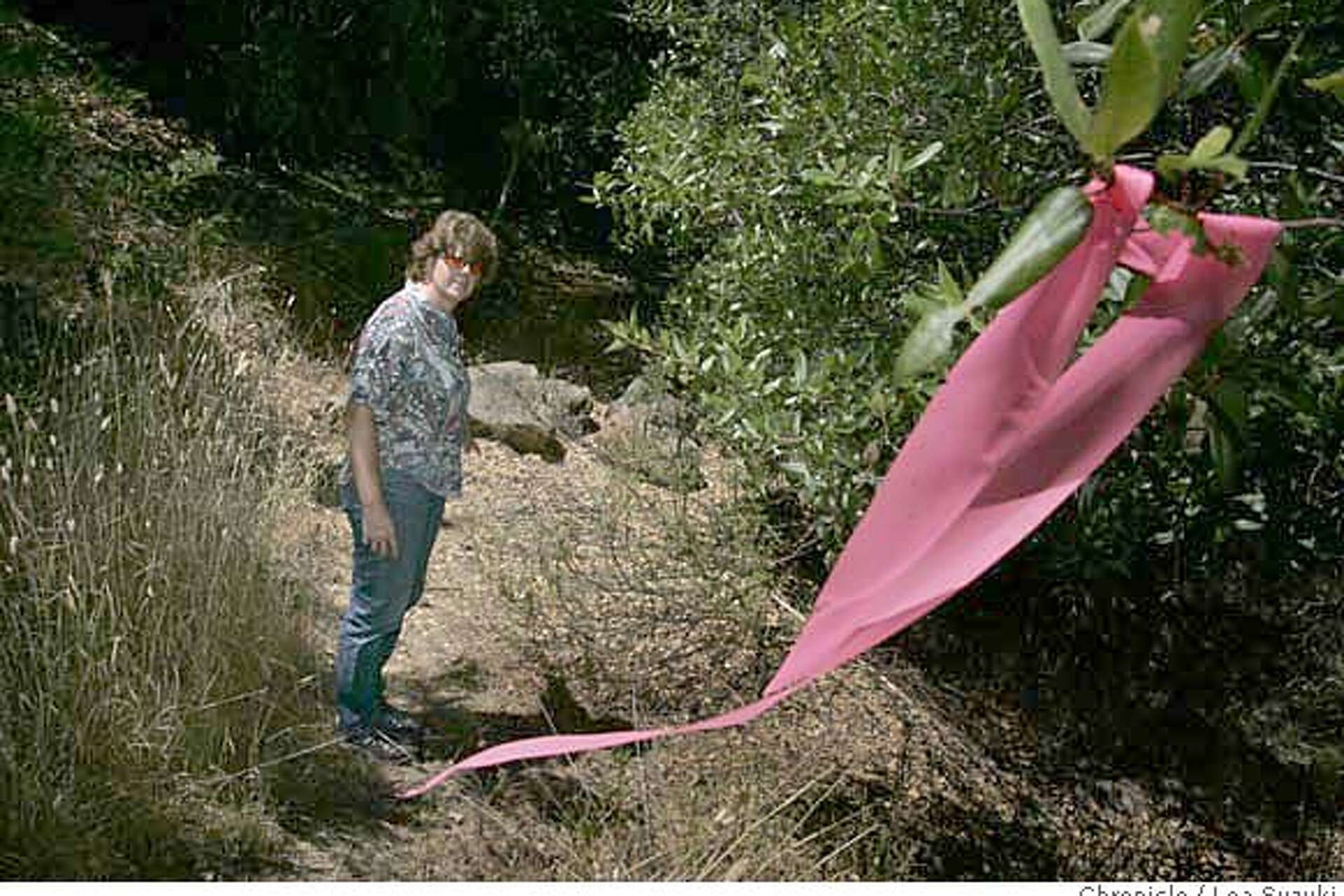 PENINSULA / Volunteers keep parks in shape despite cuts