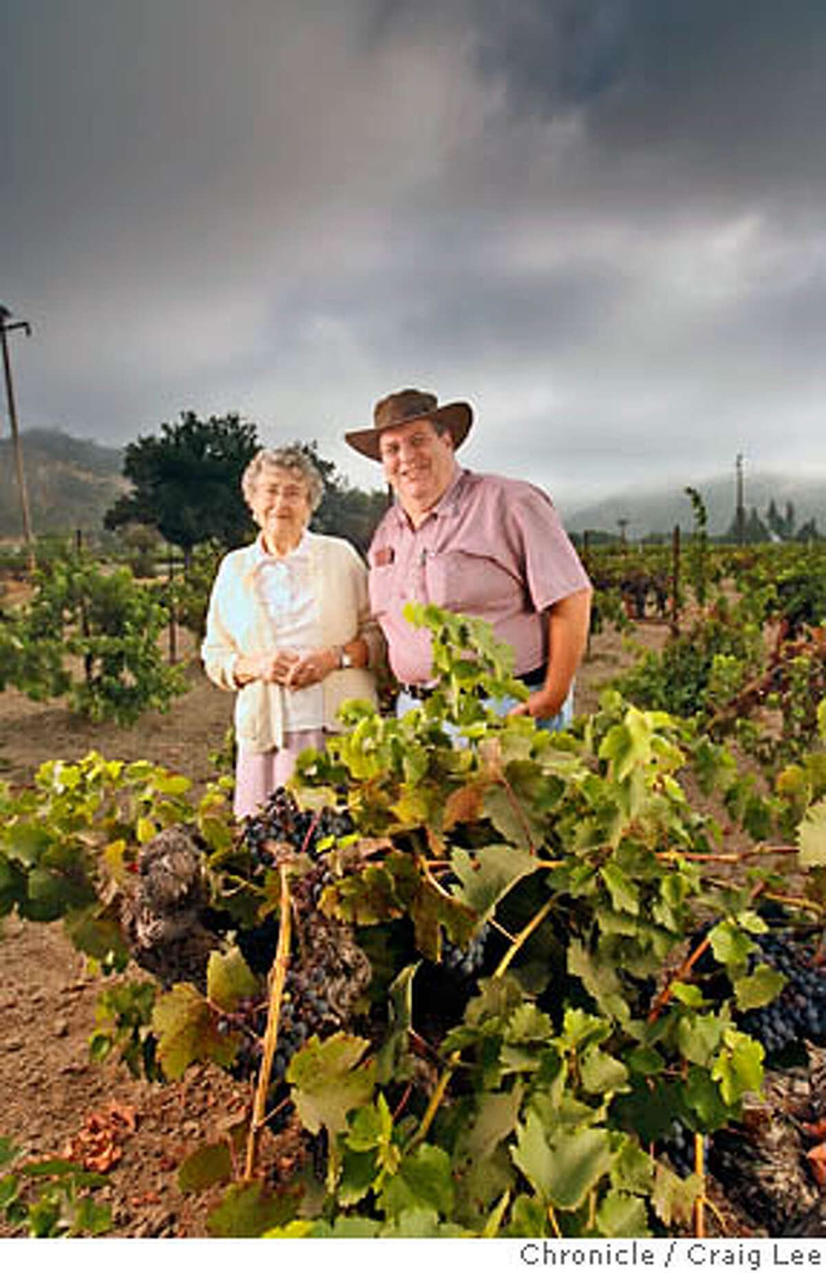 Field of blends / Interplanted vineyards produce some of California's ...