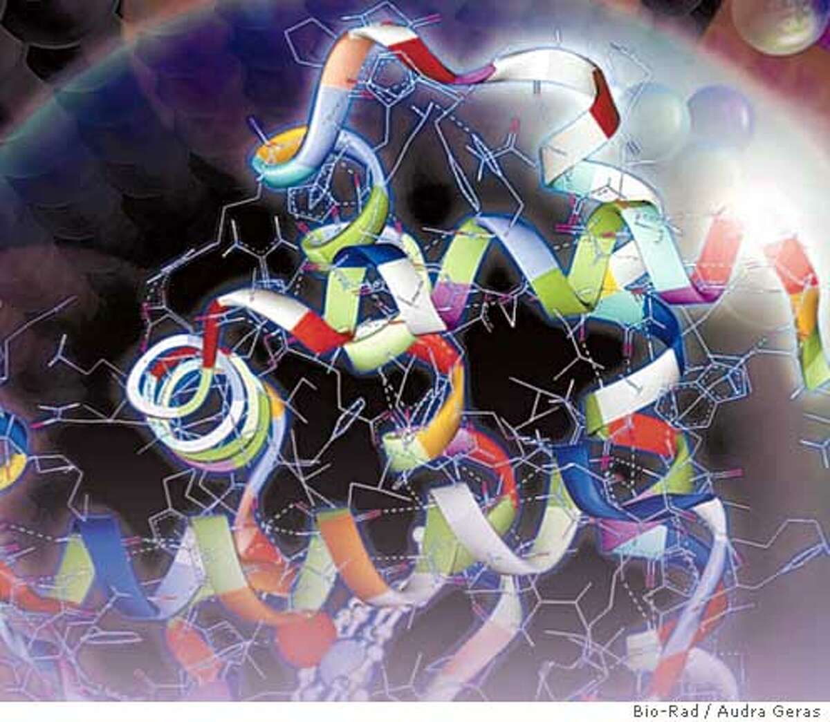 Protein a healthy research model / Bio-Rad of Hercules finds proteomics ...